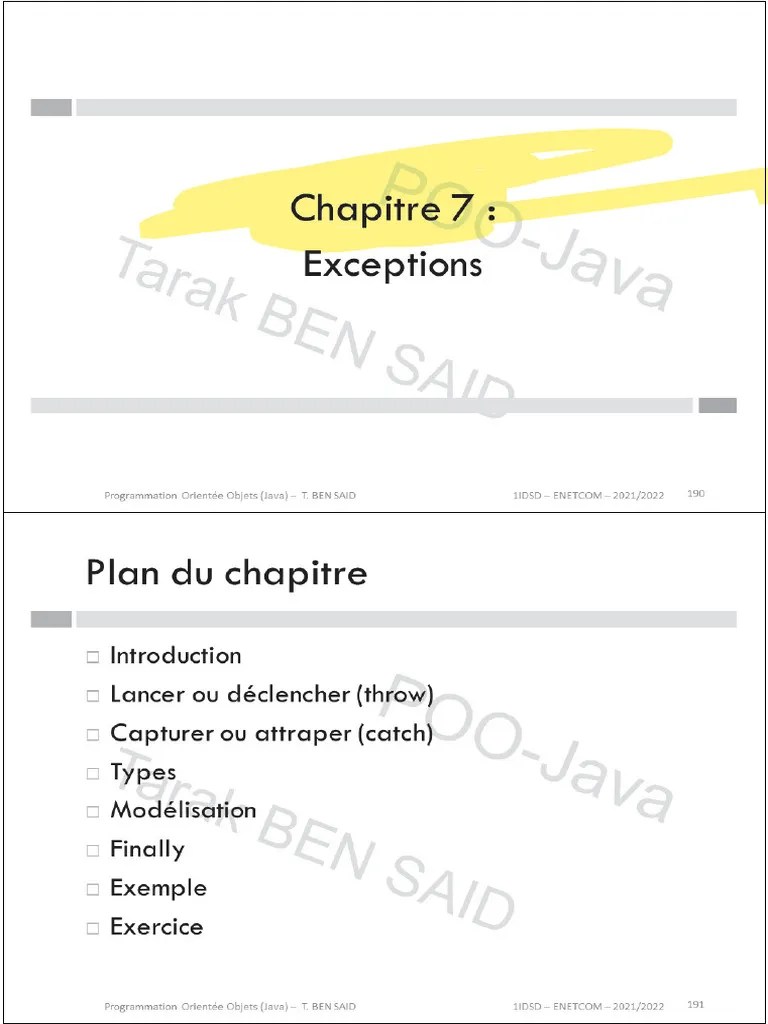 597 Poo Java Chapitre7 Pdf