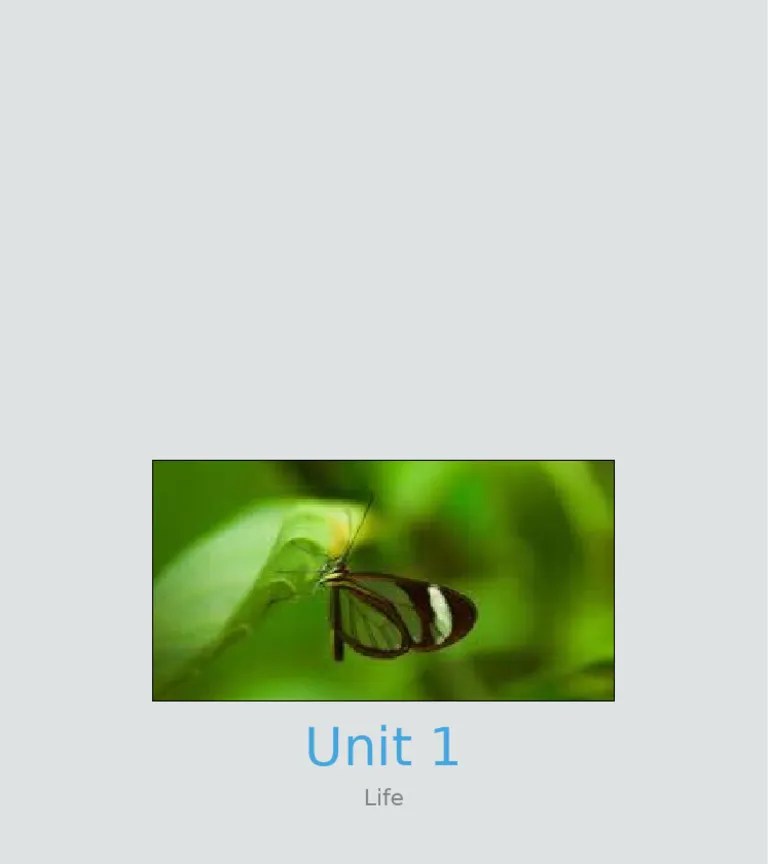 Presentation 2 Pdf