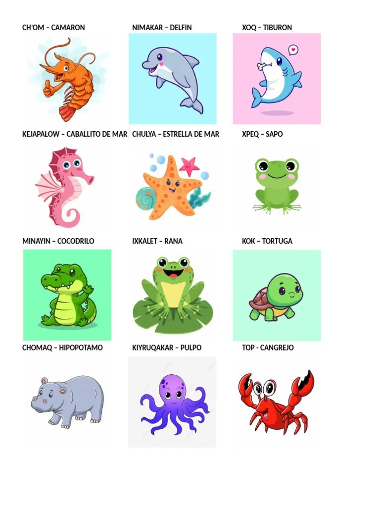 Animales Acuaticos En Kaqchikel Animado De 5 X 5 Cms 5cm Pdf