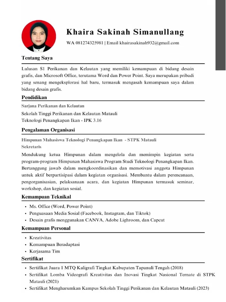 Cv 2 Pdf