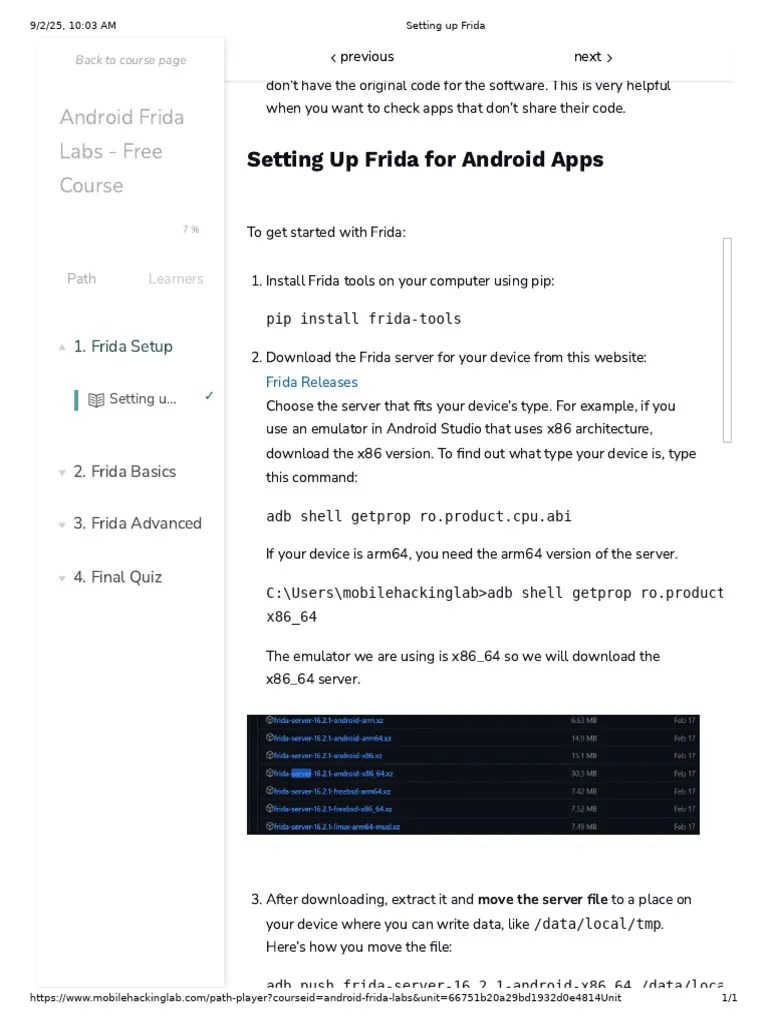 Setting Up Frida On Android Devices Pdf