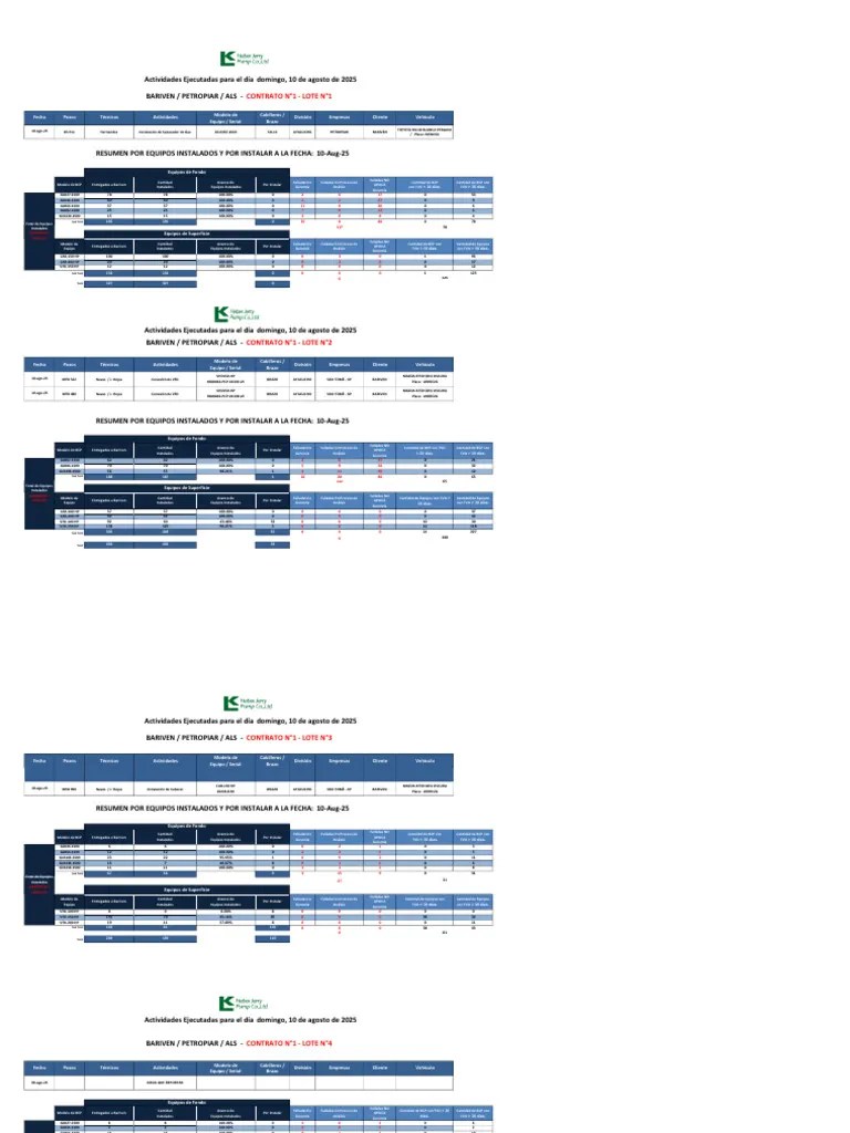 Actividades Ejecutadas Interno Pdf