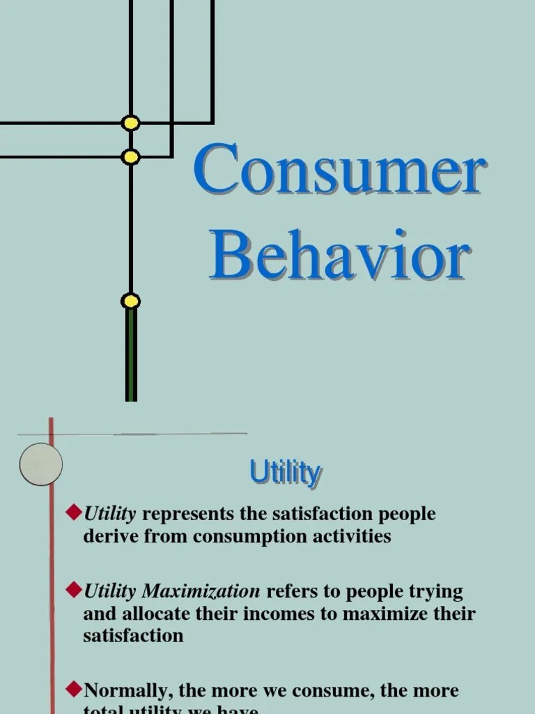 Understanding Consumer Utility And Behavior Pdf Finance Money