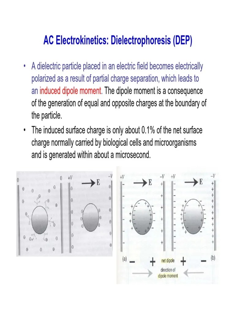DEP 1 - Dielectric, Dielectrophoresis | Physical Chemistry | Applied ...