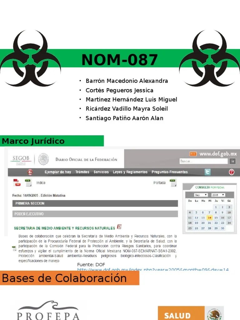 Manejo De Rpbi Según Nom 087 Pdf Sangre Residuos