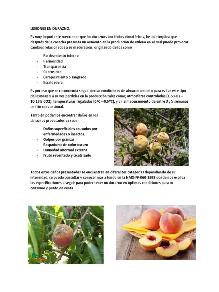 Lesiones En Durazno Pdf