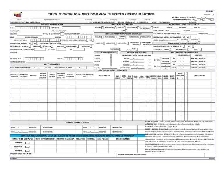 Tarjeta De Control Prenatal Para Imprimir Pdf