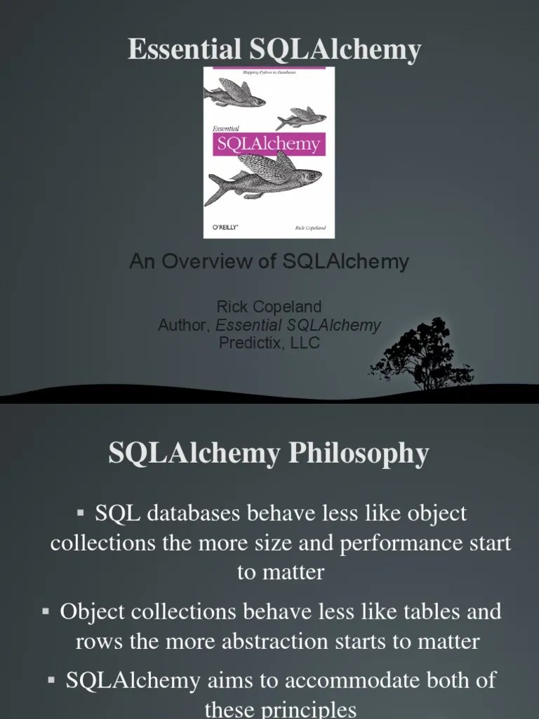 Essential Sql Alchemy Pdf Object Relational Mapping Relational Model