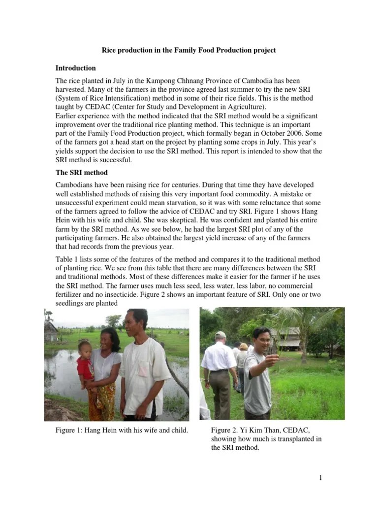 Rice Production In The Family Food Production Project Pdf Seedling