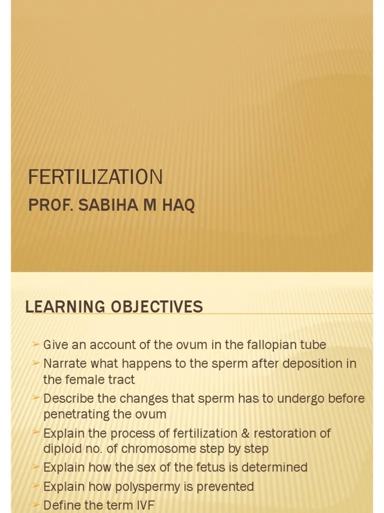 Fertilization PDF | PDF | Fertilisation | Reproduction