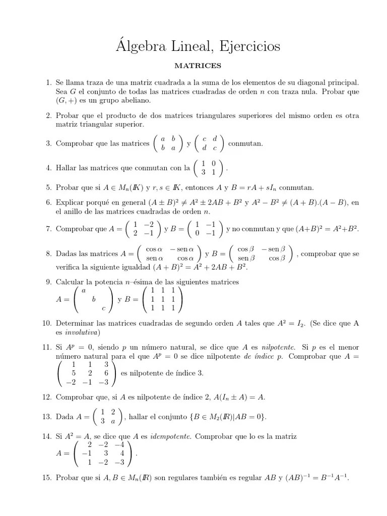 Ejercicios Matrices | PDF | Matriz (Matemáticas) | Objetos Matemáticos