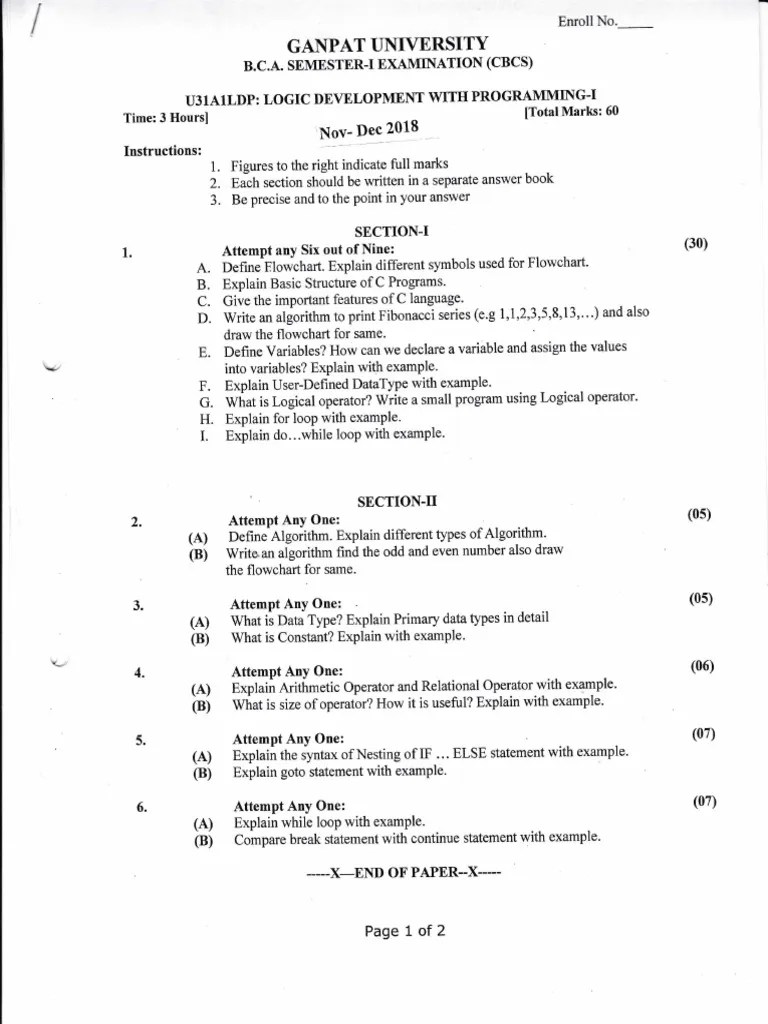 Bca 1st Sem Practical Exam Guide Pdf Algorithms C Programming