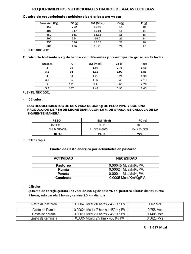 Requerimientos Nutricionales Vacas Lecheras Pdf Mamíferos Bovinos