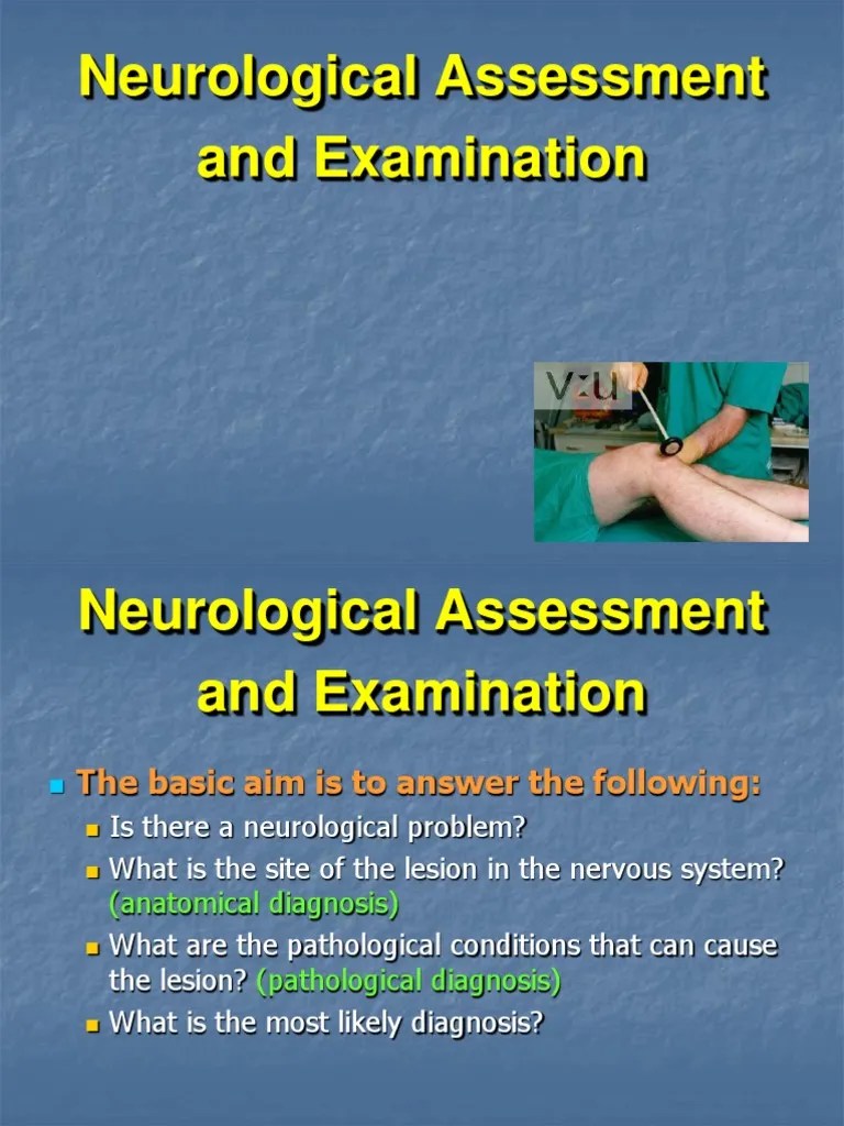 Neurological Assessment Overview Pdf Neuroscience Human Head And Neck