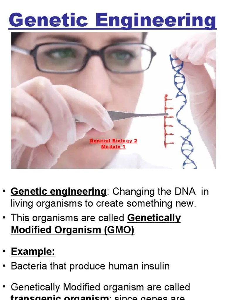 Genetic Engineering: General Biology 2 | PDF | Cloning | Genetically ...
