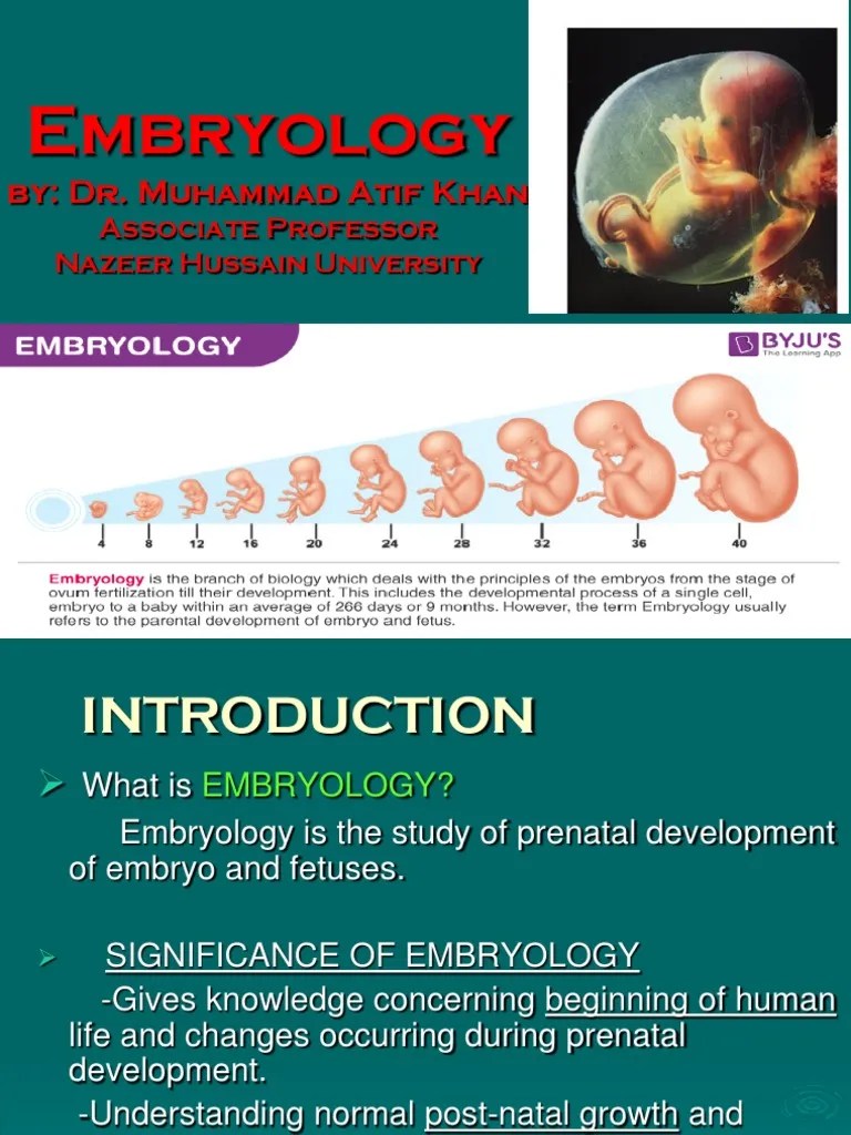 General Embryology | PDF | Implantation (Human Embryo) | Developmental ...