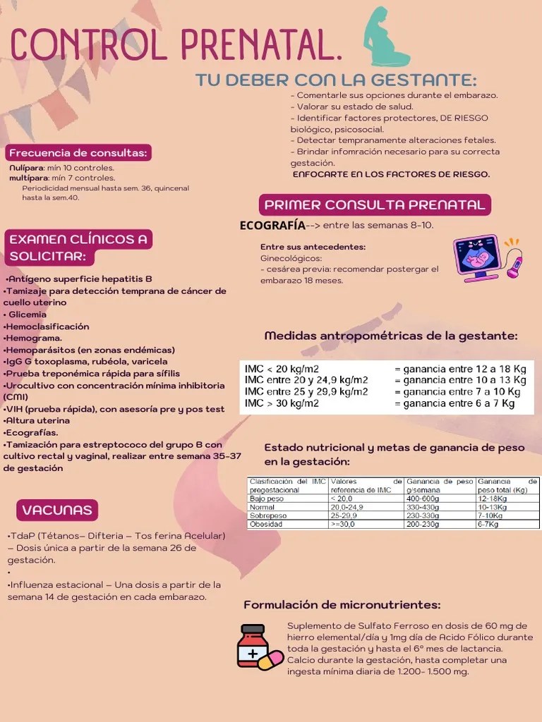 Control Prenatal Pdf El Embarazo Especialidades Medicas