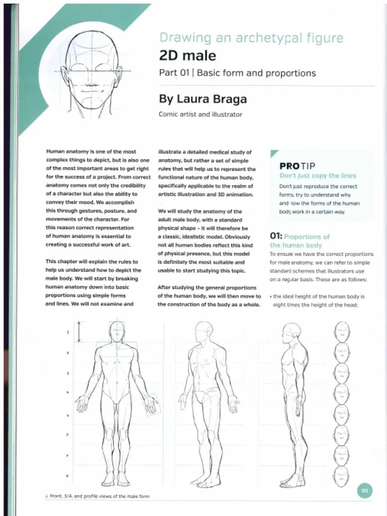 Anatomy For 3d Artist Pdf