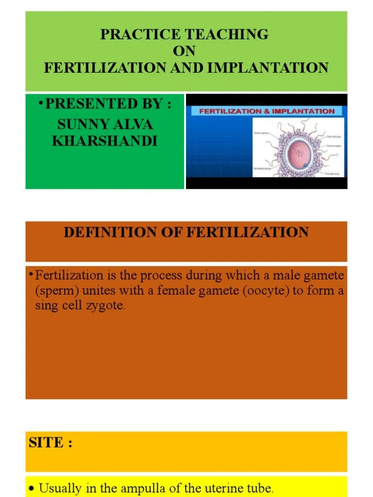Practice Teaching On Fertilization And Implantation. | PDF ...