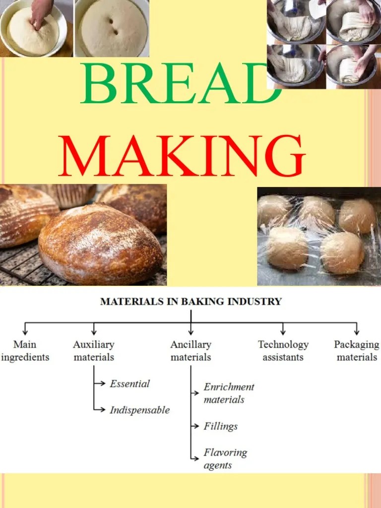 Bread Processing Technology | PDF | Breads | Yeast