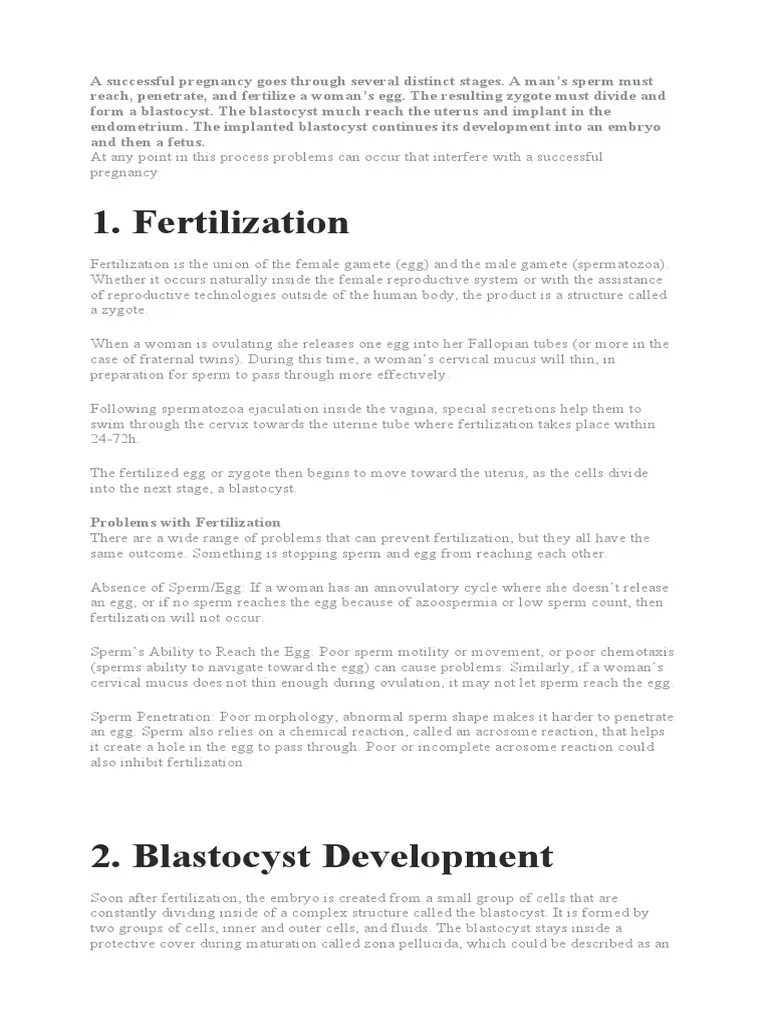 Embryonic Development | PDF