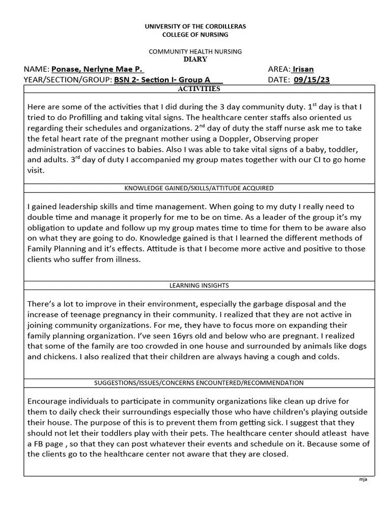 Diary Format Pdf Pregnancy Nursing