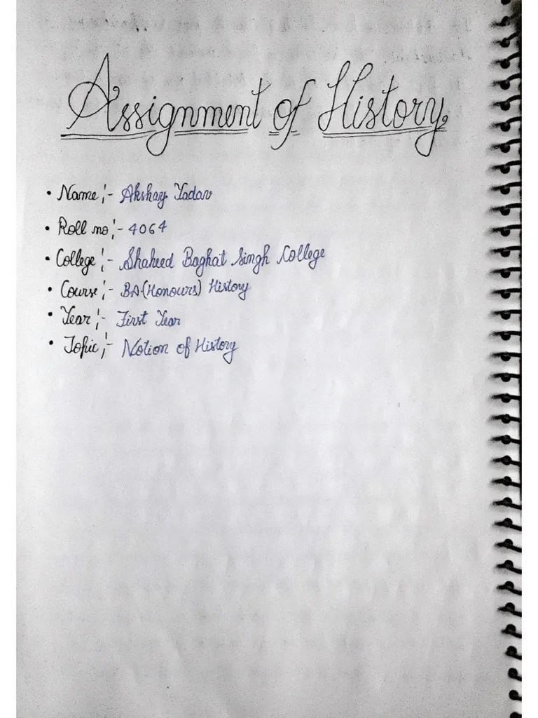 History Assignment 2 Pdf