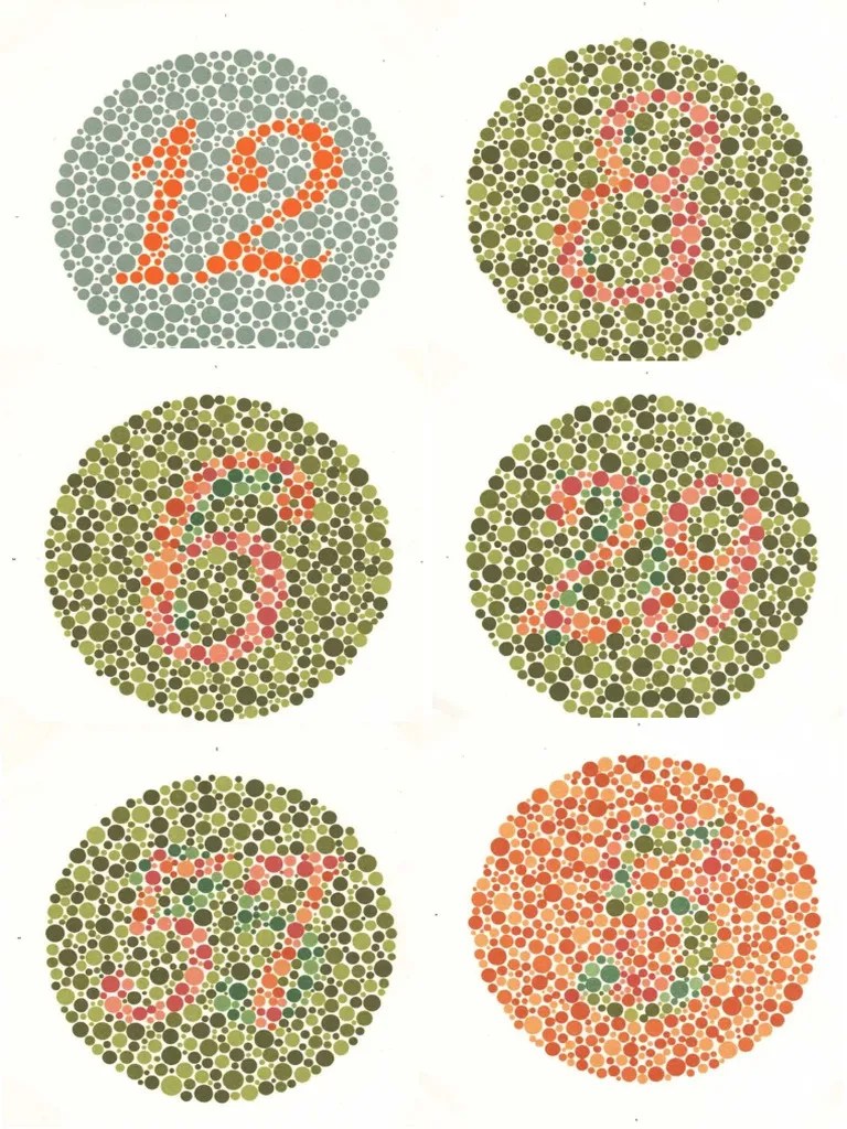 Ishihara Pdf