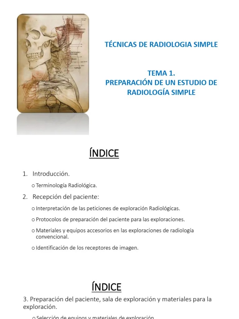 Técnicas En Radiología Simple Pdf Términos Anatómicos De Ubicación