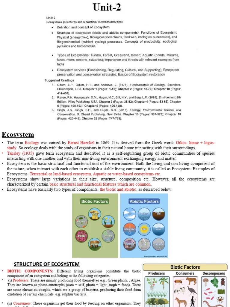 Ecosystem Basics For Students Pdf Primary Production Grassland