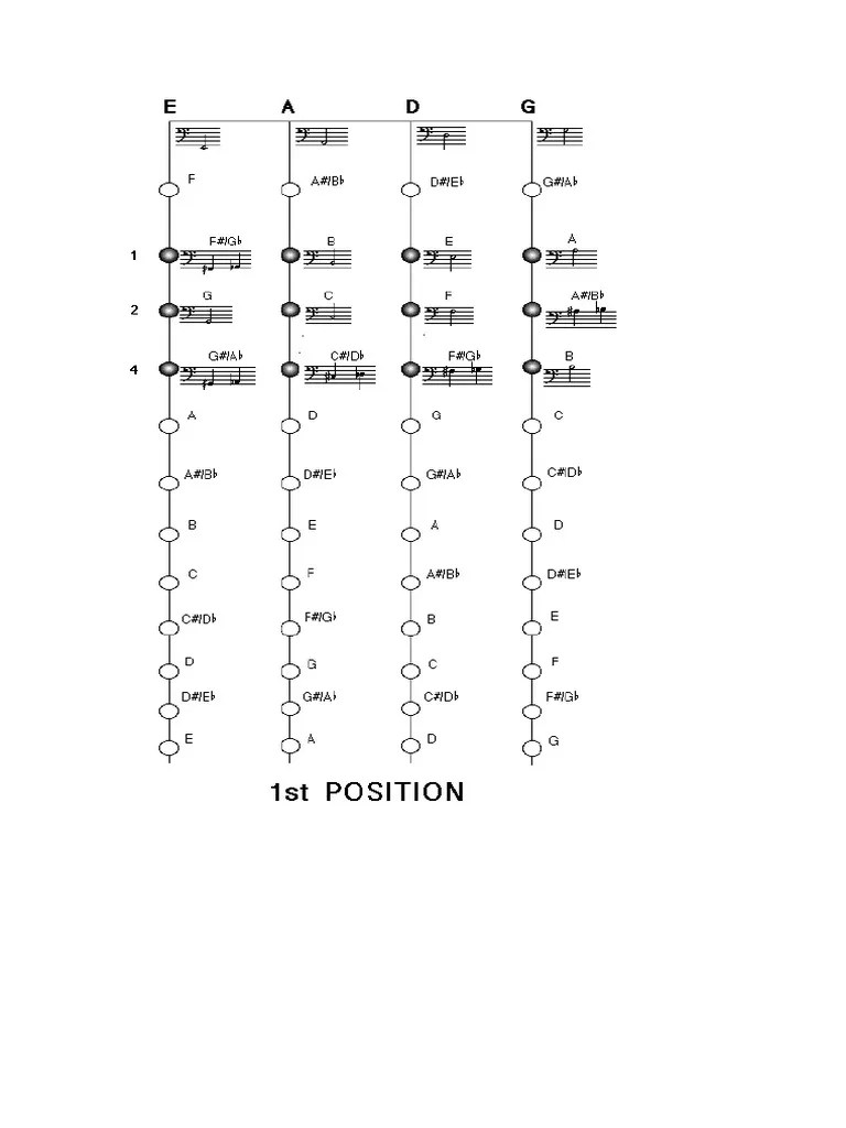 Bass 1st Position Pdf