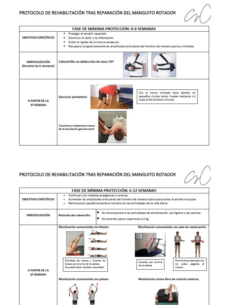 Rehabilitación Manguito Rotador Protocolo Completo Pdf Hombro