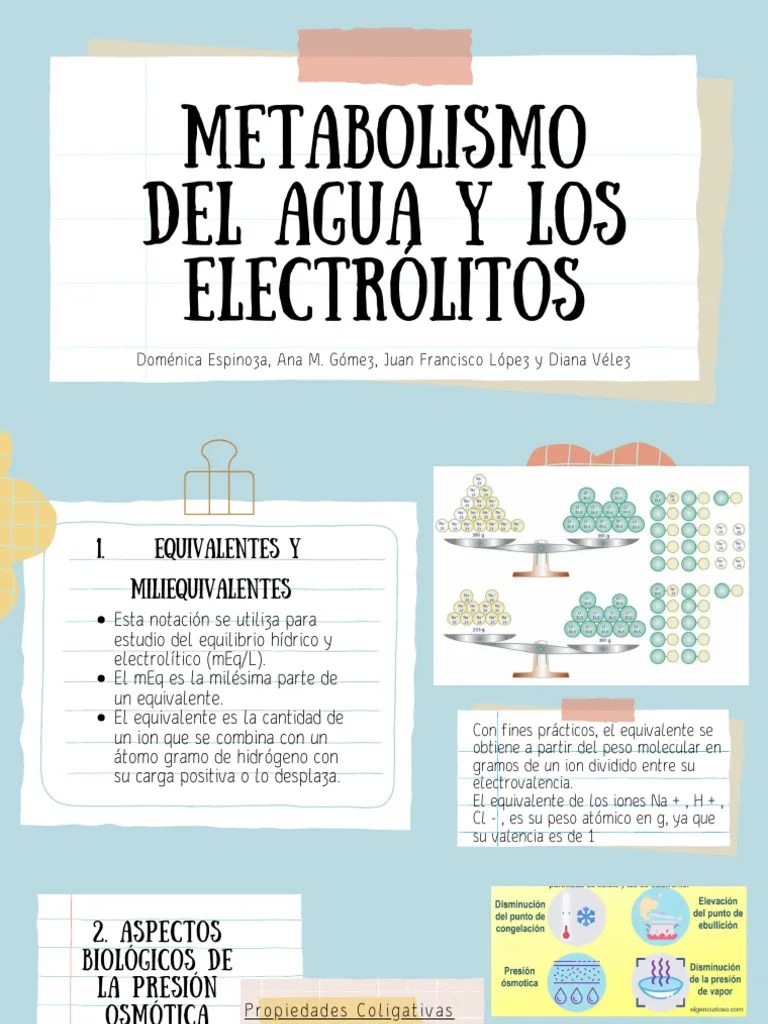 Metabolismo Del Agua Y Electrolitos Pdf Sodio Agua