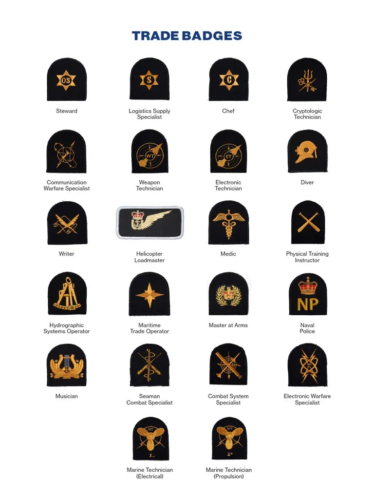 Military Trade Badges Overview Pdf