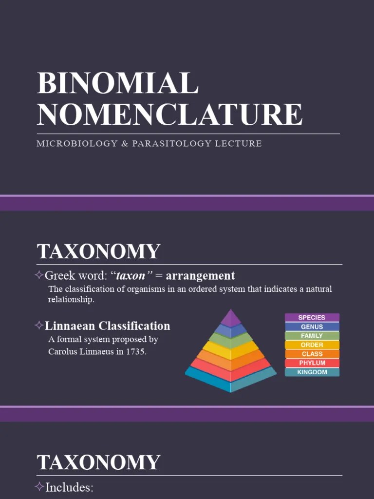 Binomial Nomenclature Pdf Bacteria Taxonomy Biology