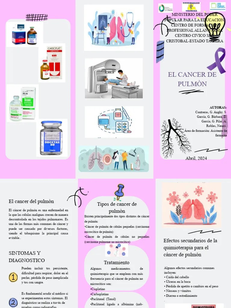 Cáncer De Pulmón Síntomas Y Tratamiento Pdf Cáncer De Pulmón Cáncer