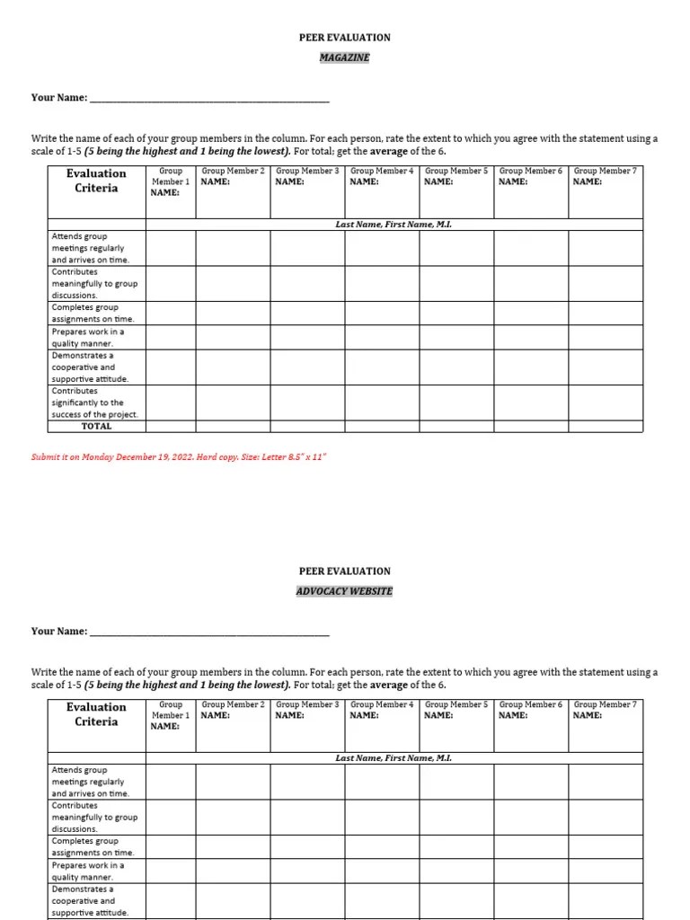 E Tech Peer Eval Pdf