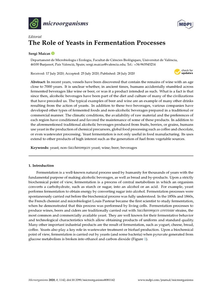 The Role Of Yeasts In Fermentation Processes | PDF | Yeast | Beer