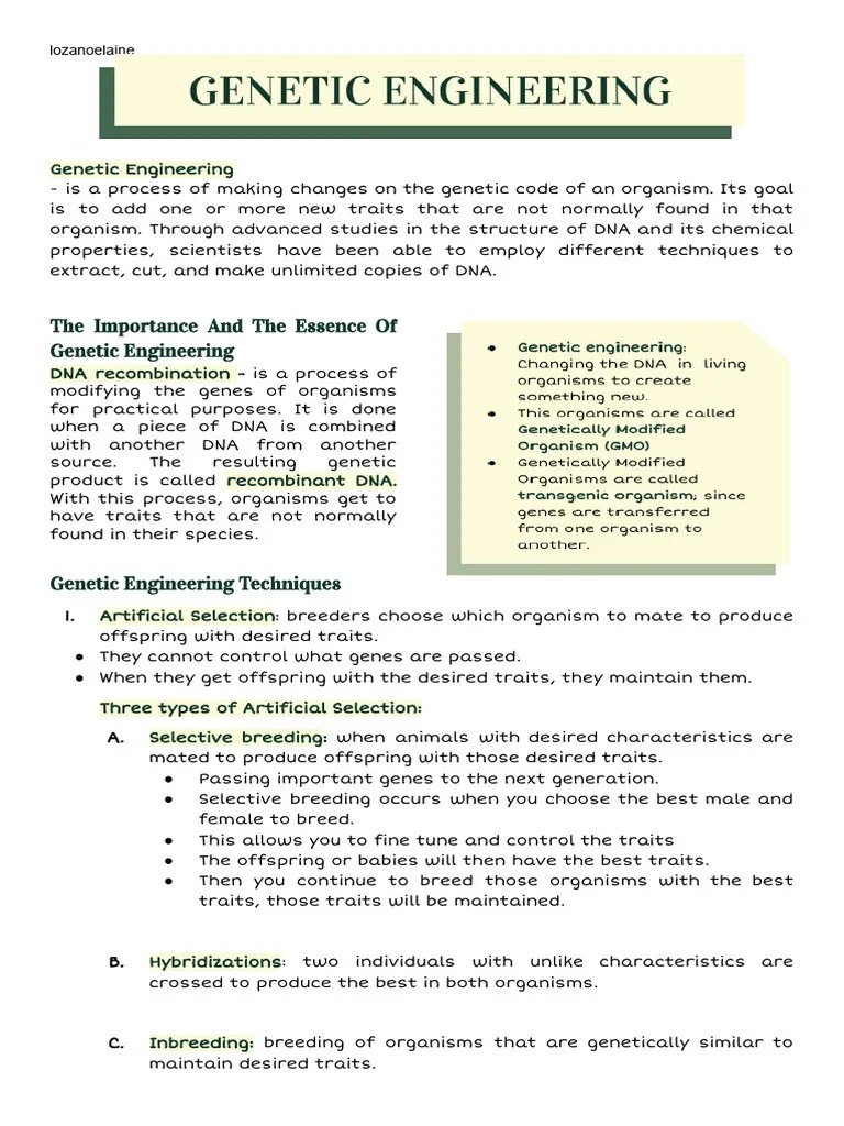 Genetic Engineering | PDF | Plasmid | Transformation (Genetics)