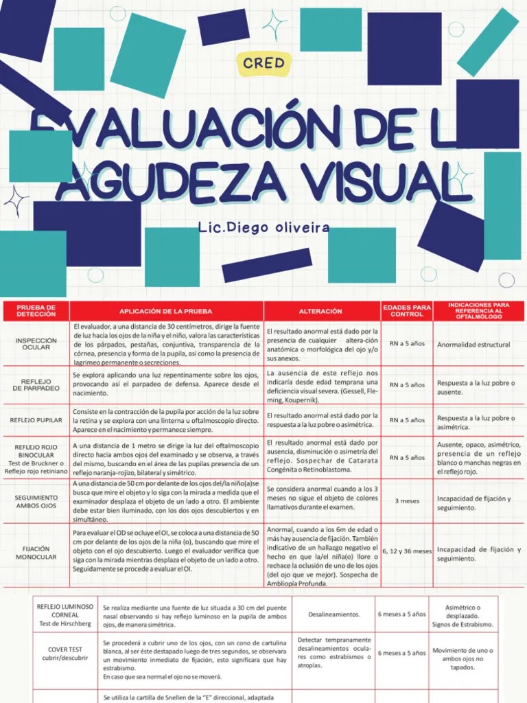 Evaluación De La Agudeza Visual Pdf