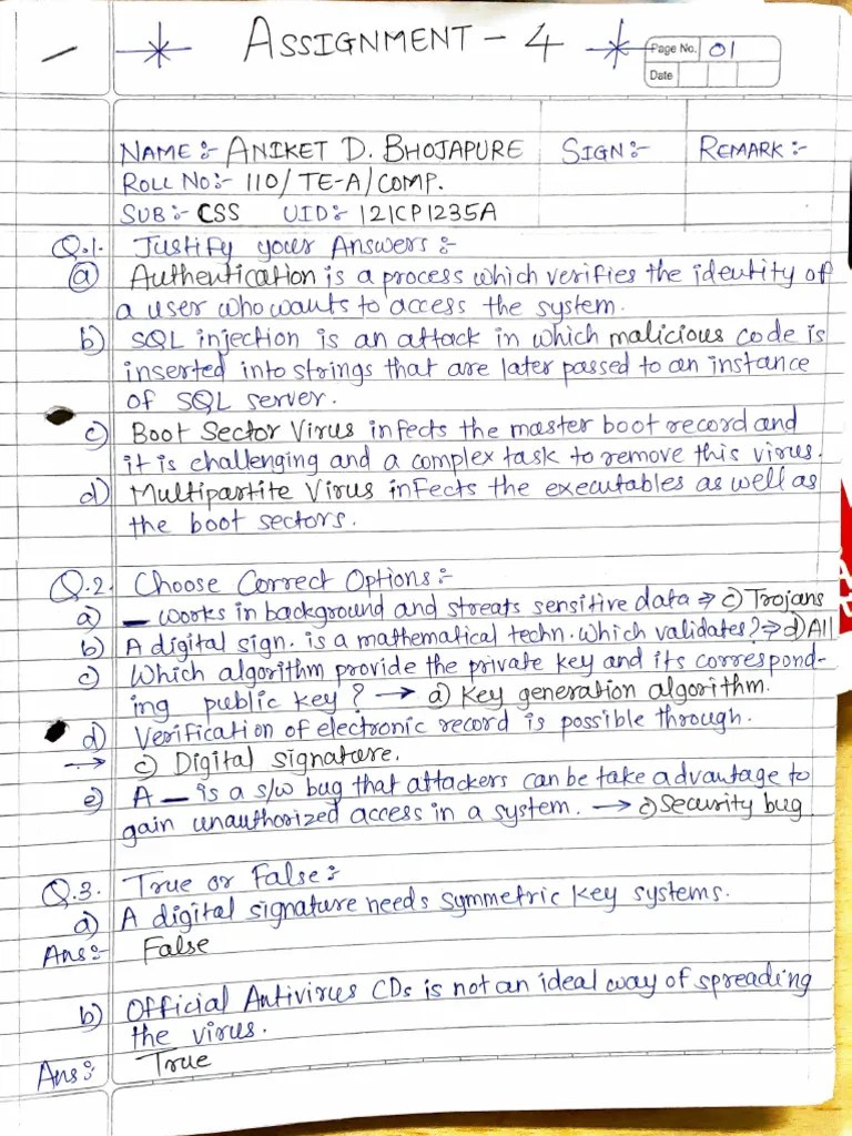 Css Assignment 4 Pdf
