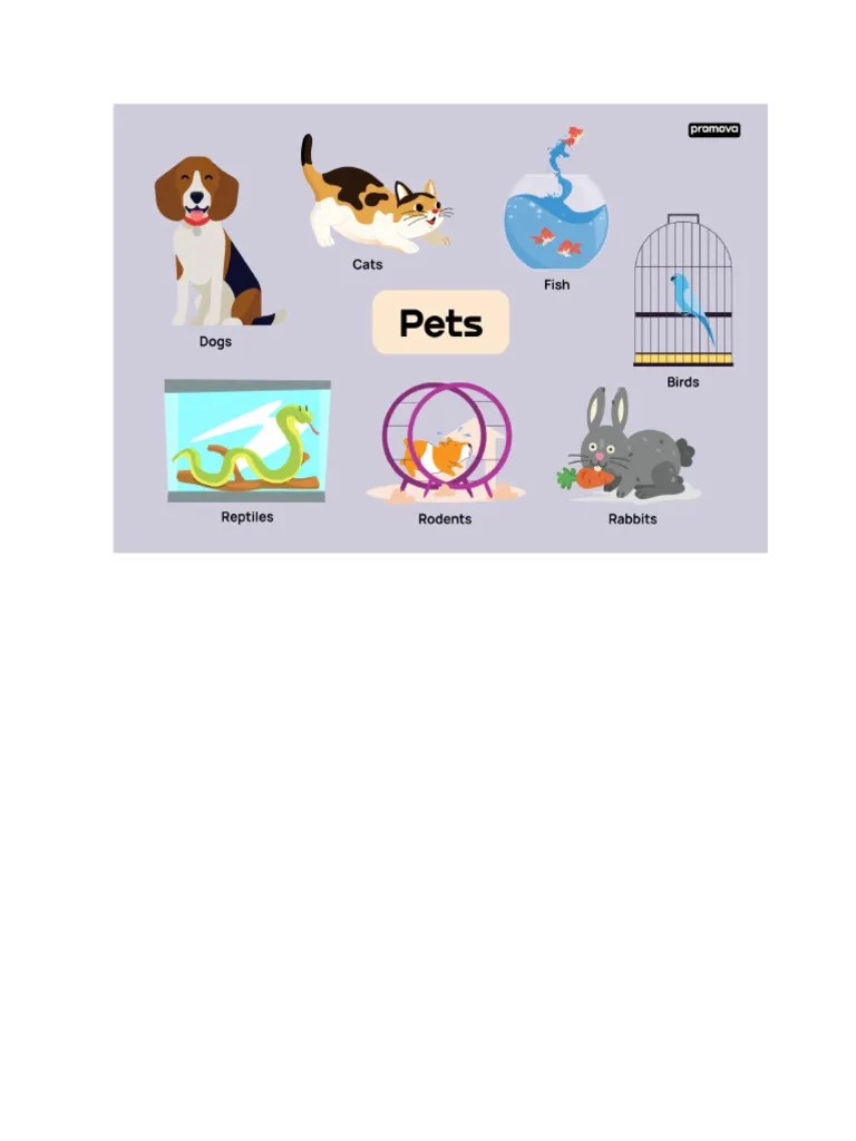 Pets Pdf