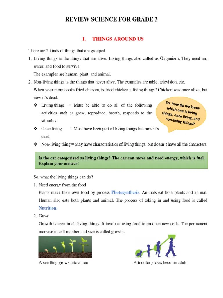 Grade 3 Science Review Guide Pdf Moon Foods