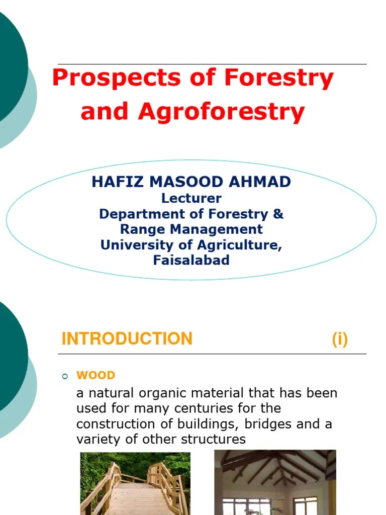 Prospects Of Forestry And Agroforestry Pdf Pdf Trees Carbon Dioxide