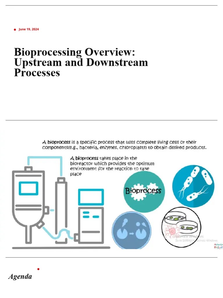 Upstream And Downstream Bioprocessing Pdf Protein Purification Enzyme