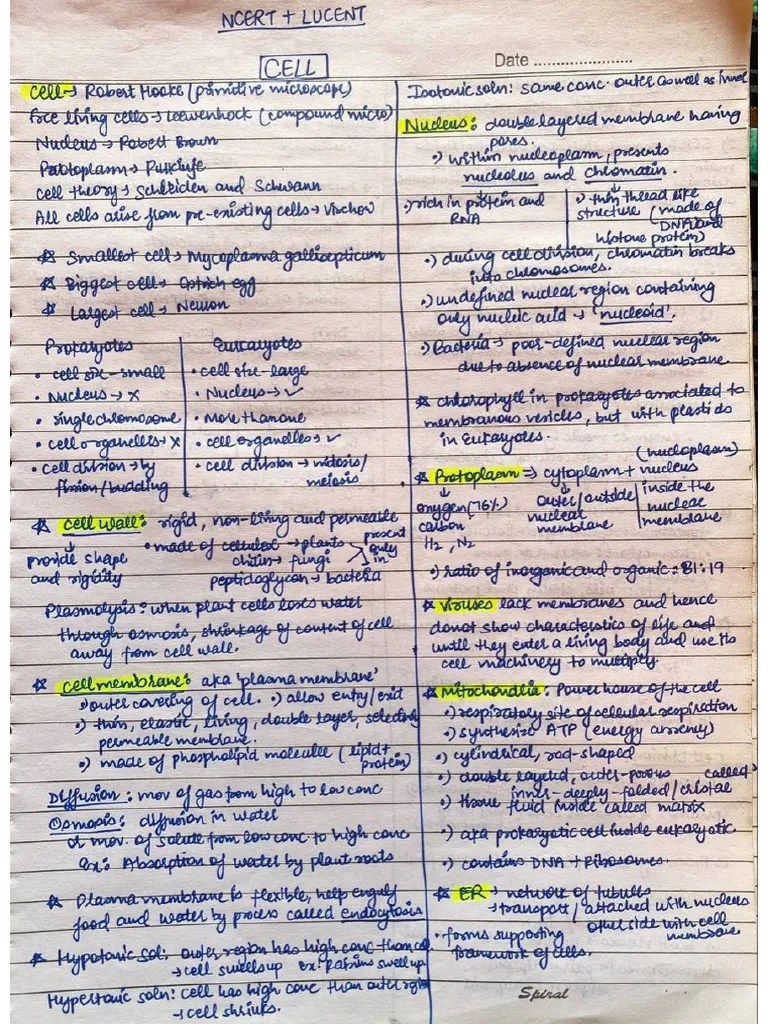 Cell Pdf