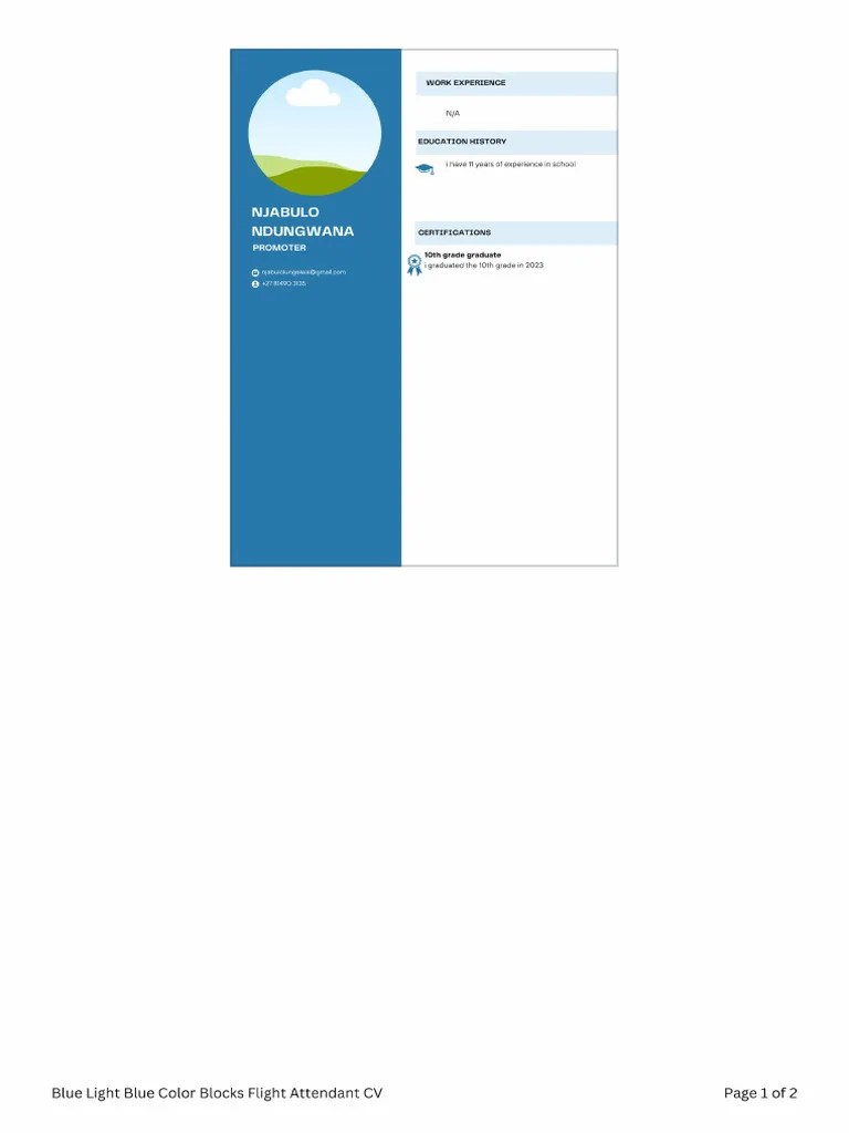 Cv Pdf