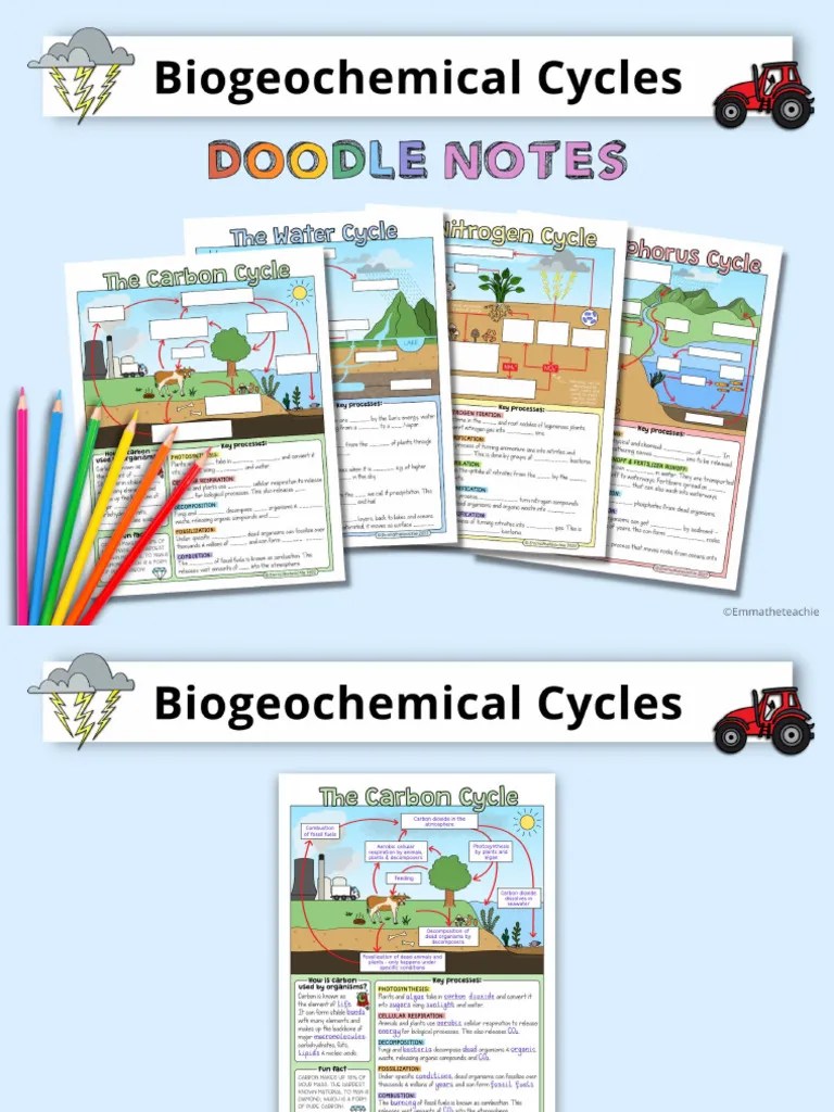 08 Biogeochemical Cycles Doodle Notes Answer Key Pdf