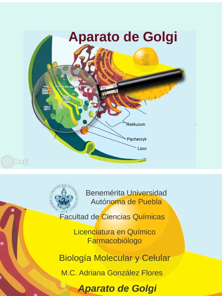 Aparato De Golgi Pdf