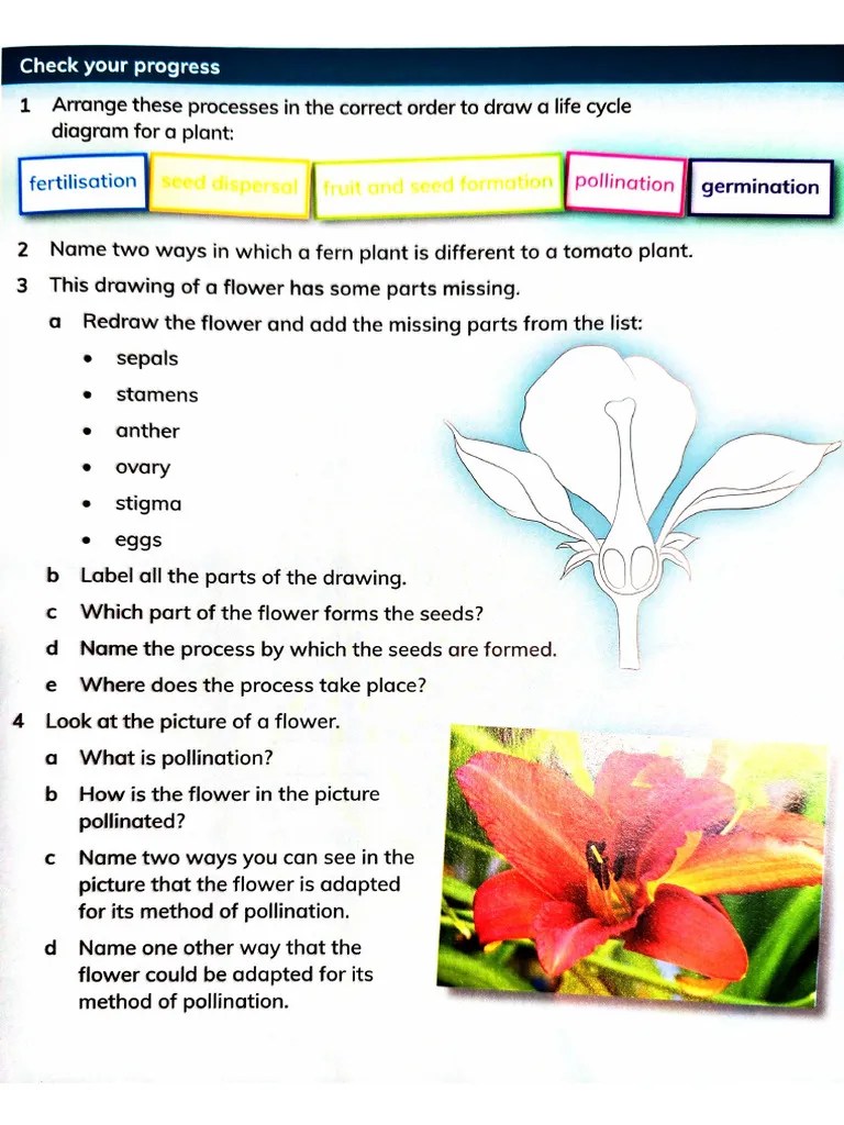 Cambridge Science Workbook 5 Pdf